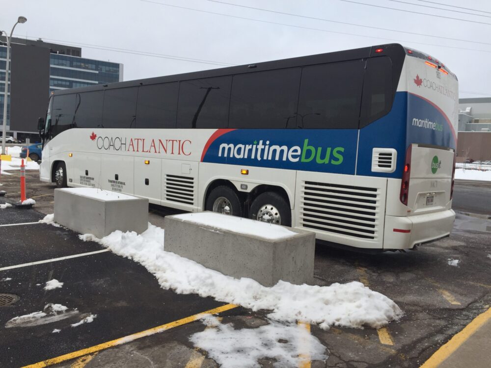 It’s important that Maritime Bus survives the pandemic, says Transport ...