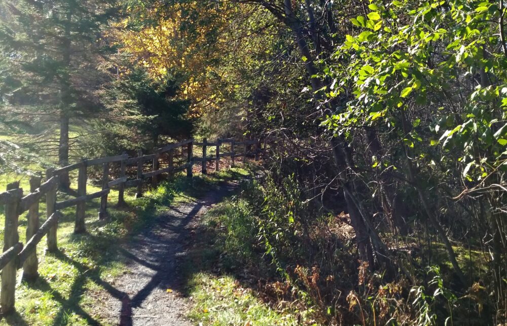 Citizens excited about new walking path to downtown Knowlton - Canada Info