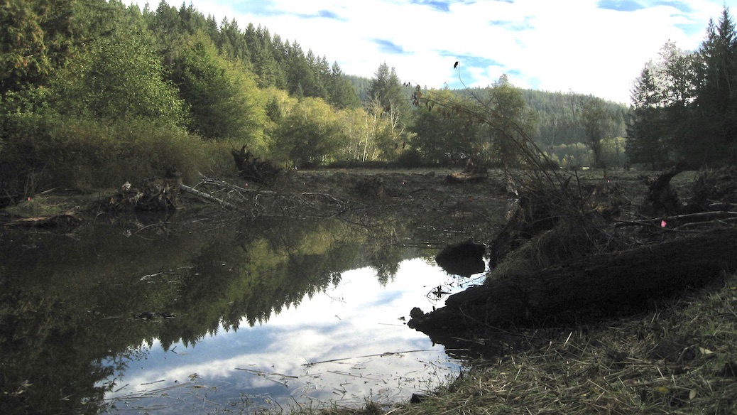 What the Dillon Creek Wetlands restoration means to Linnaea farm ...