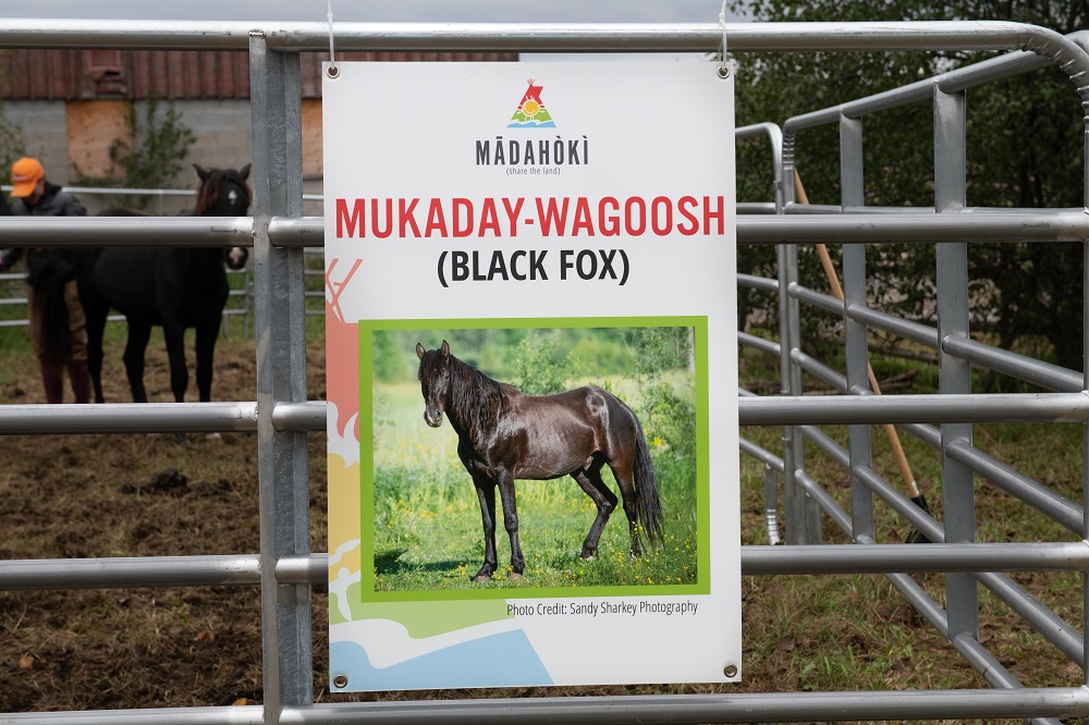 Madahoki Farm: a new cultural hub for Ottawa's Indigenous community ...