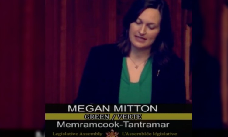 MLA Mitton reflects on a ‘turbulent year’ in provincial politics ...