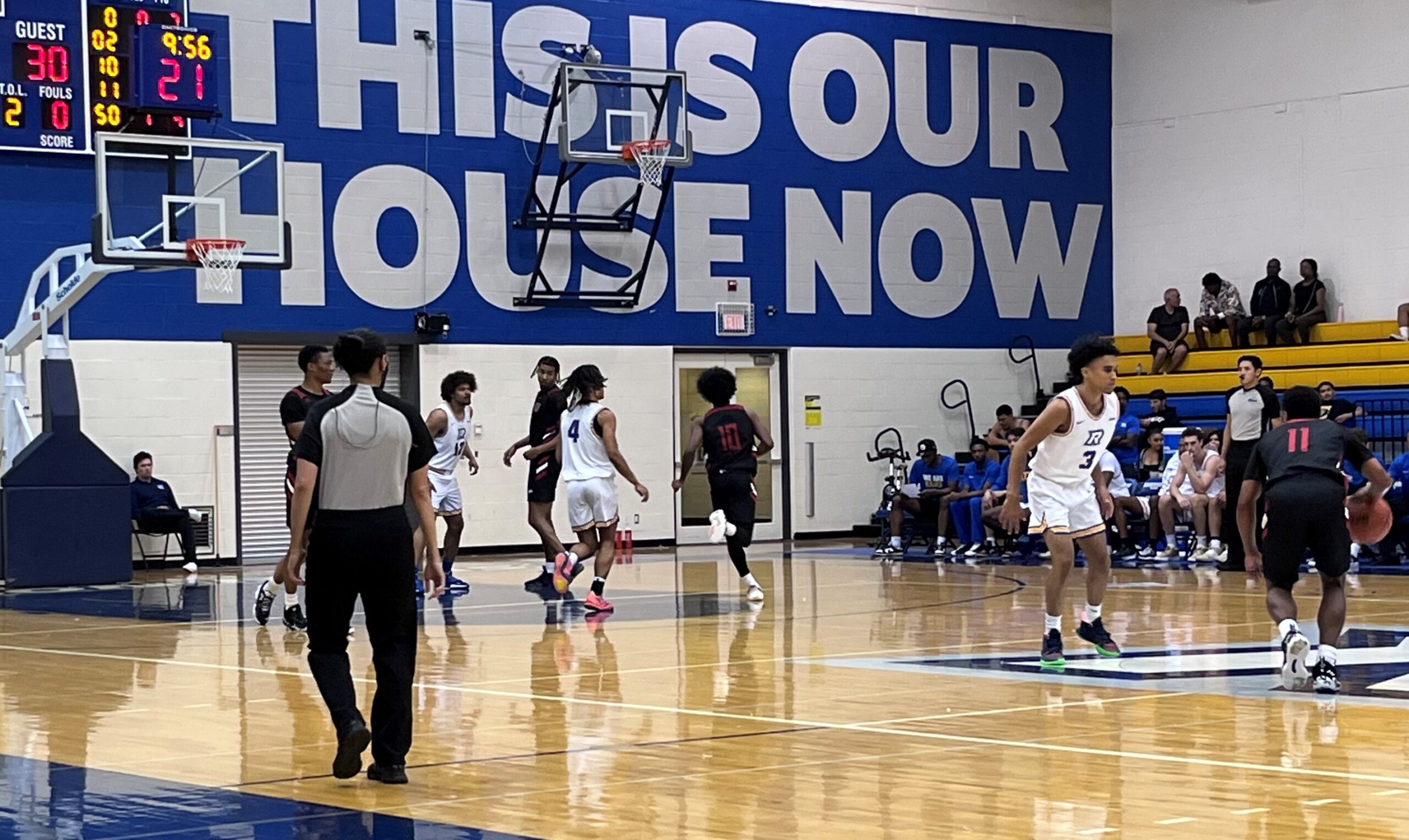 TMU announces new team name, mascot this week - Canada Info