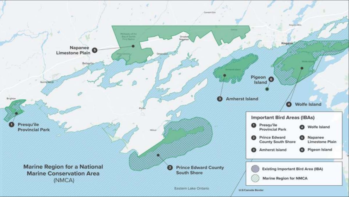 PEC witholds endorsement of National Marine Conservation Area for now ...