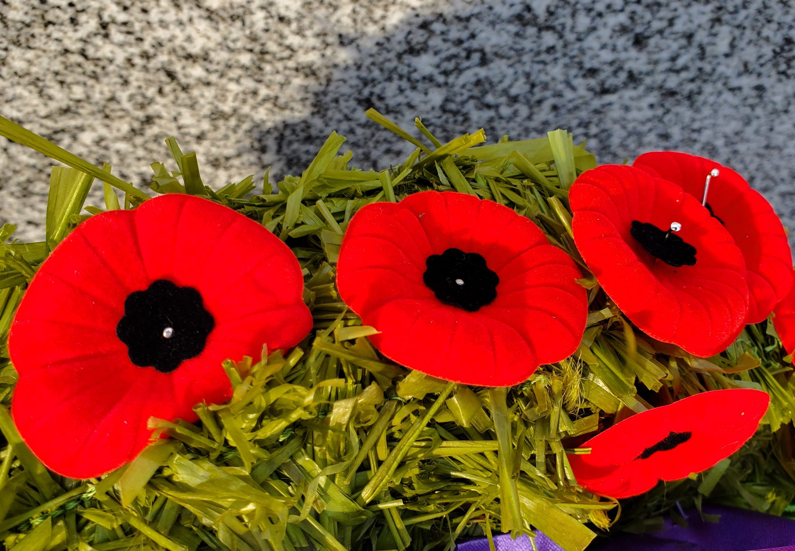Poppy campaign goes green, offers new way to donate - Canada Info