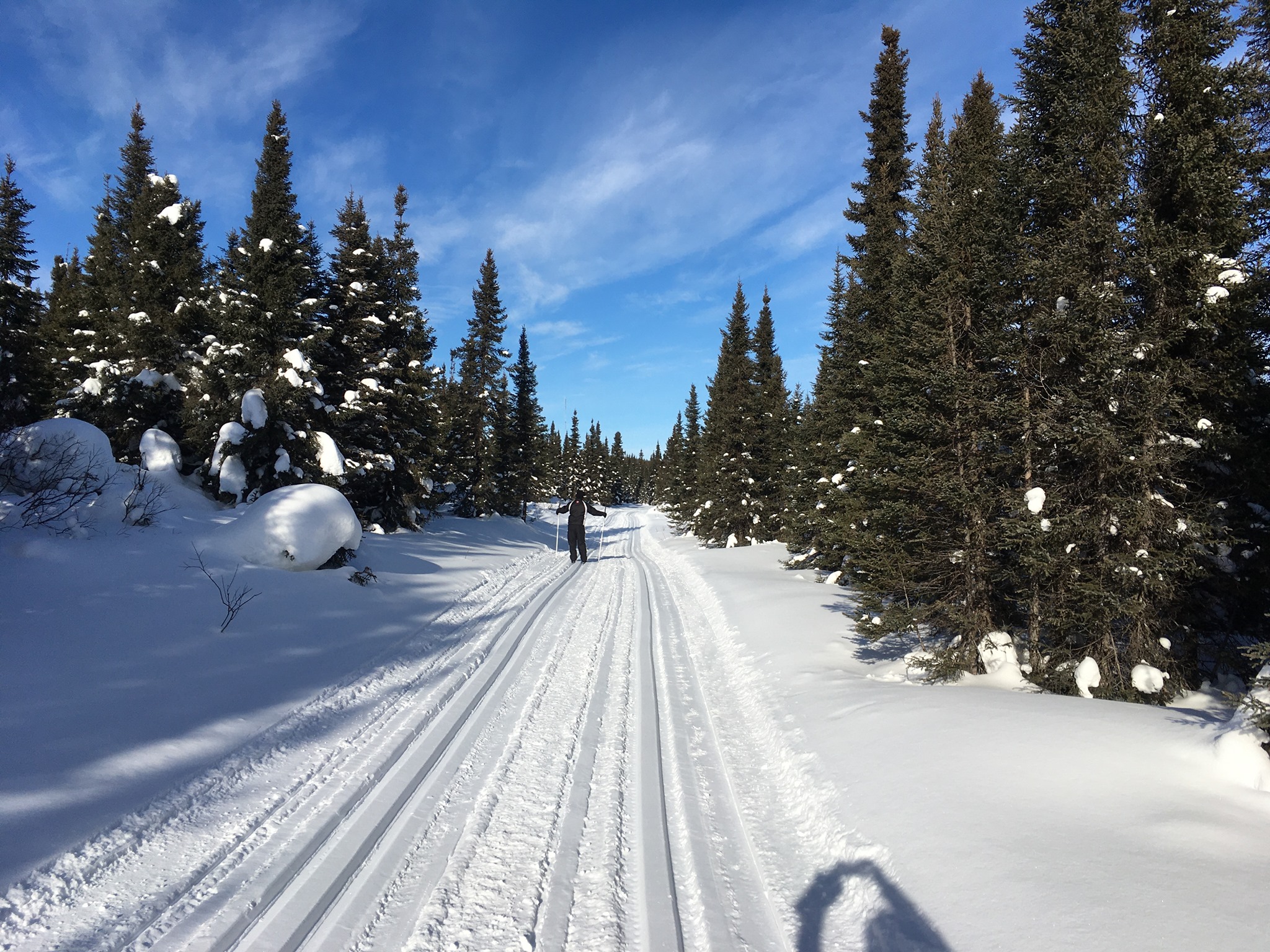 Ski de fond : les traceurs de Fermont espèrent pouvoir ouvrir une ...