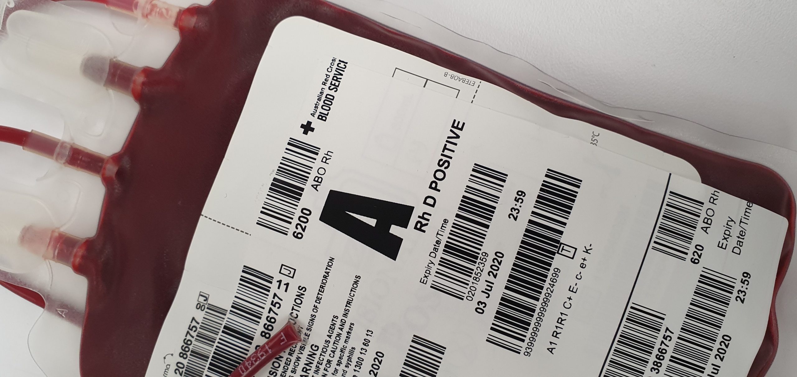Pressing need for blood and plasma donations in the HRM - Canada Info
