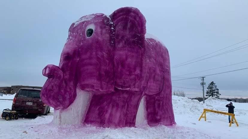 Il y a maintenant un éléphant à Néguac - Canada Info
