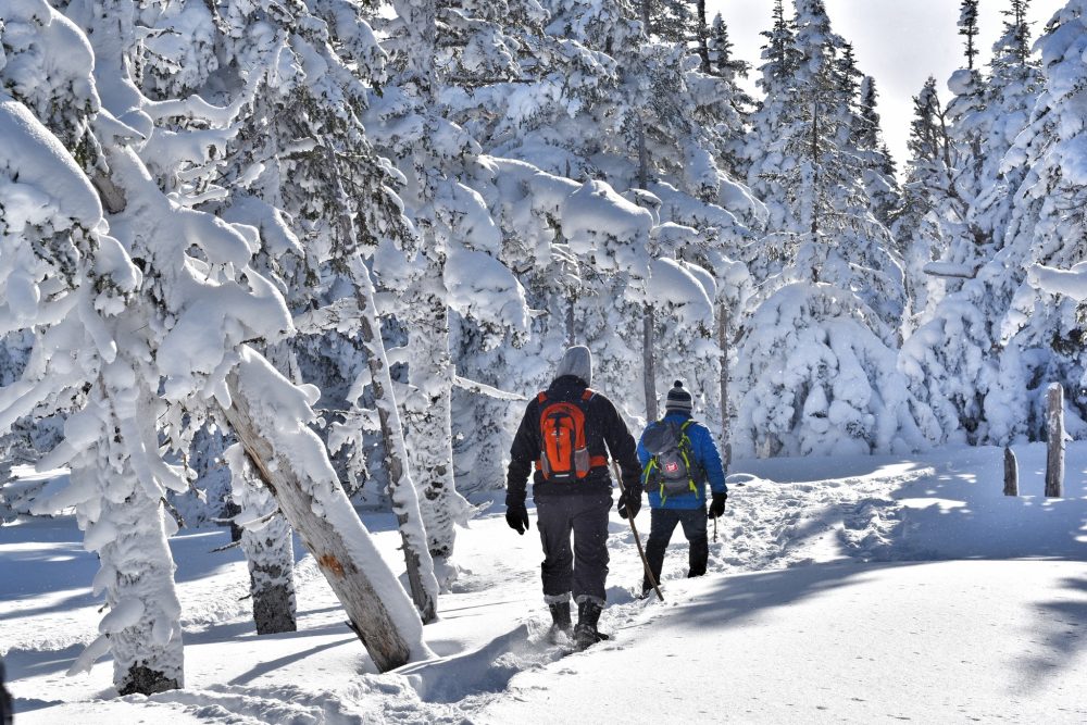 On invite les gens à profiter au maximum de la magie de l'hiver ...