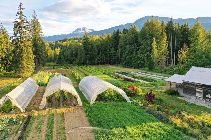 First Light Farm aims to grow $10,000 worth of veggies for Revelstoke ...