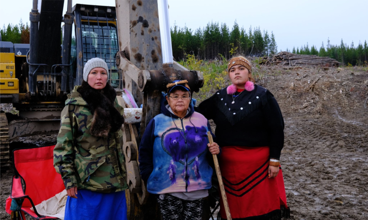 The best of our Indigenous reporting to celebrate National Indigenous ...