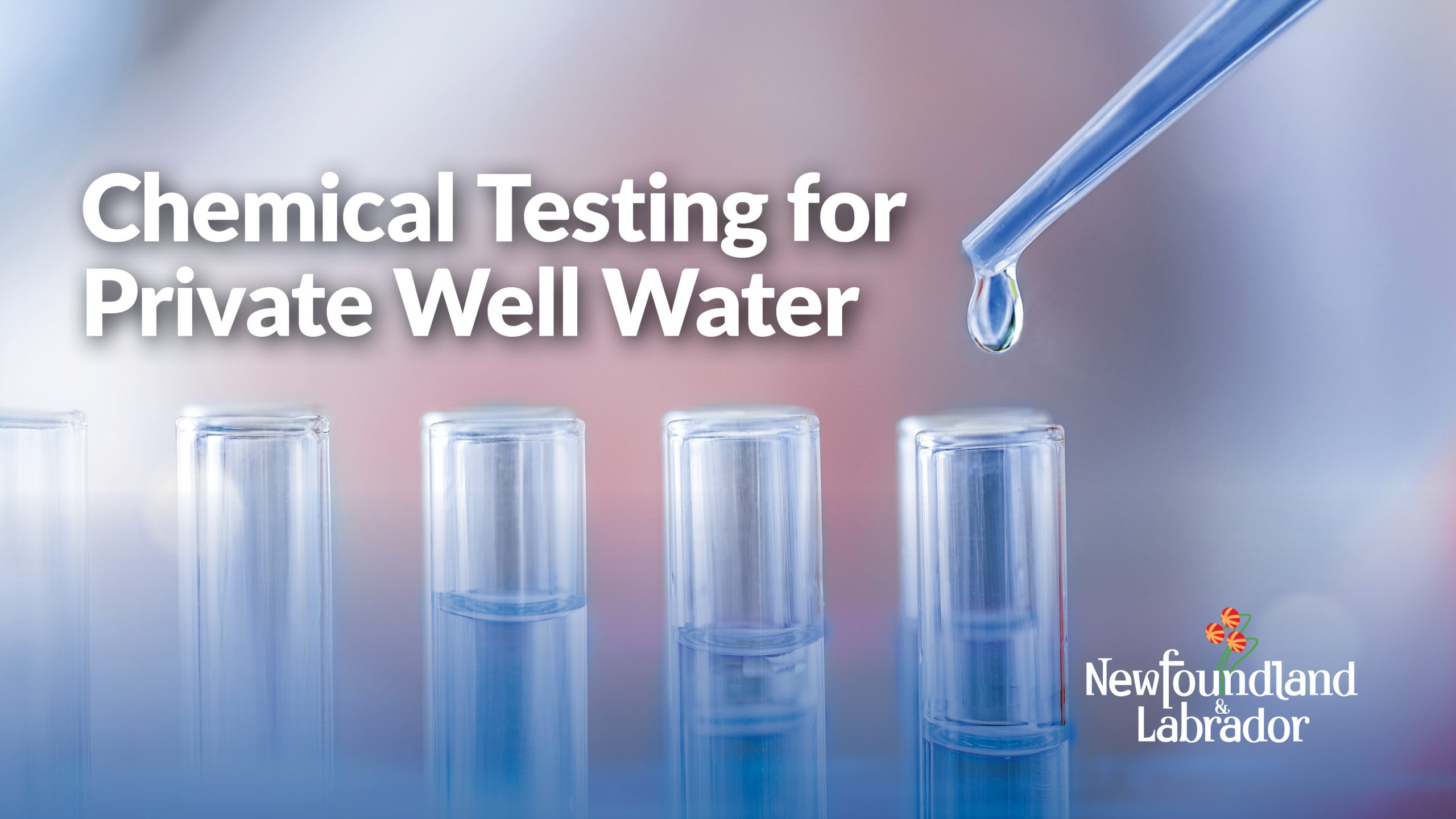Results show one-third of recent well water test kits in NL contained ...