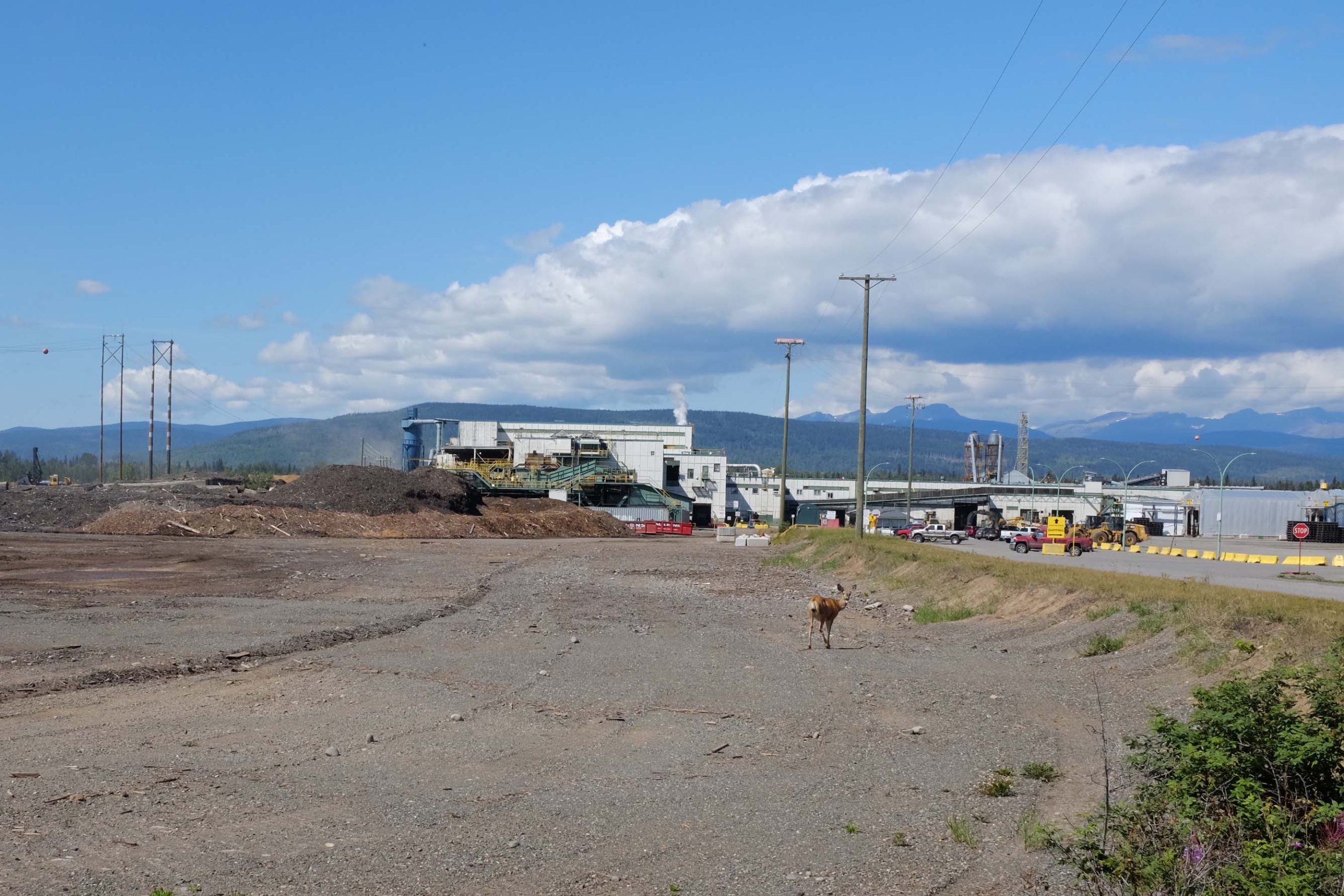 Houston Sawmill still in limbo after CANFOR board meeting - Canada Info