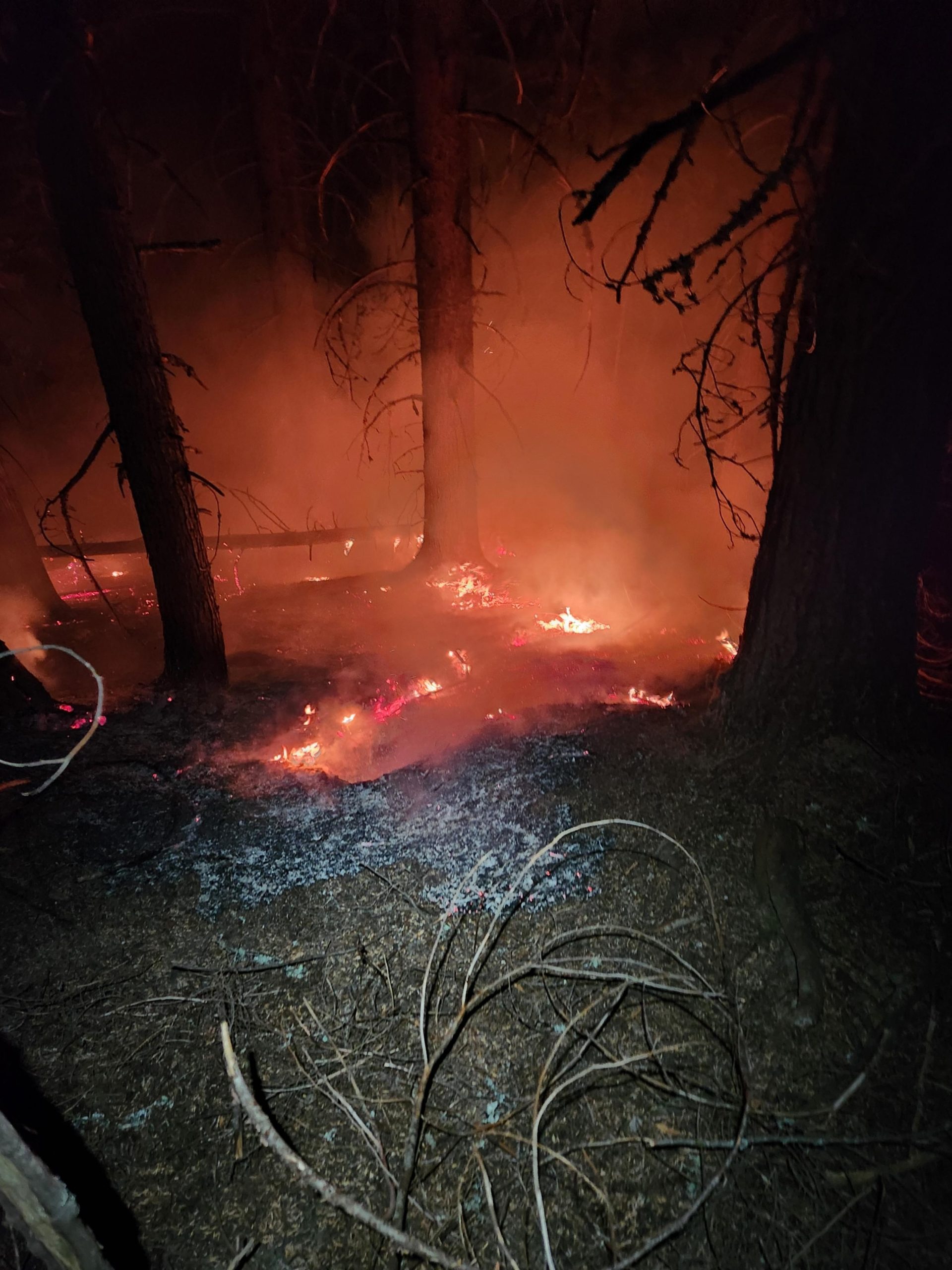 Wildfire near Nelson appears to be suspicious - Canada Info