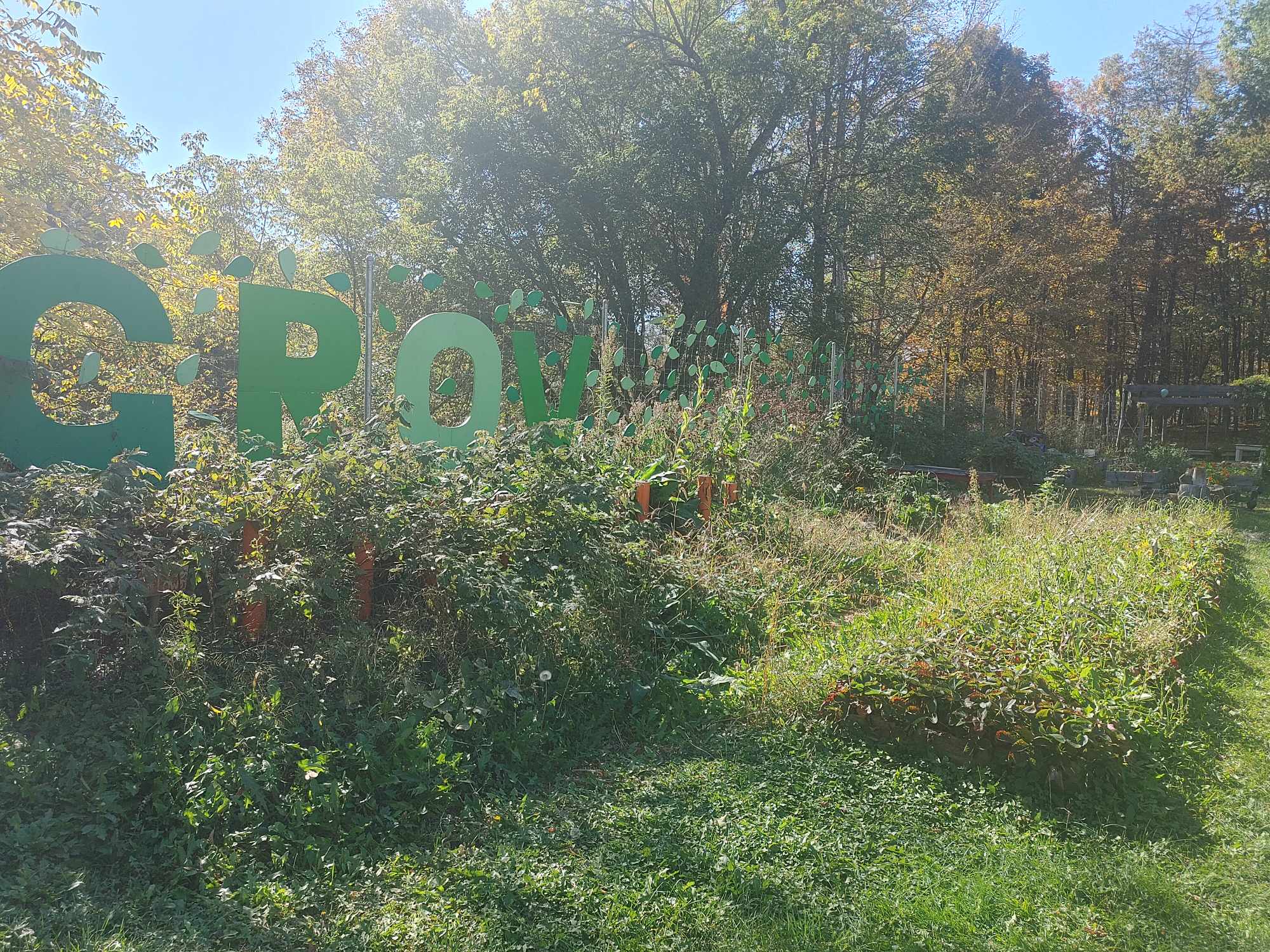 Knowlton Academy Secret Garden and Greenhouse Project finds its way into the school curriculum ...