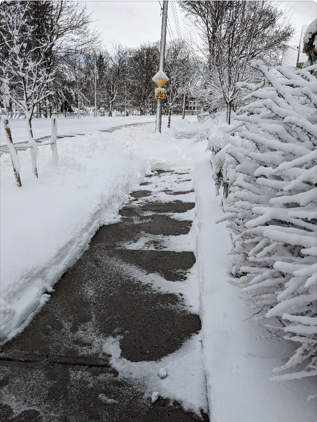 City of Waterloo offers free sidewalk, windrow snow clearing to ...