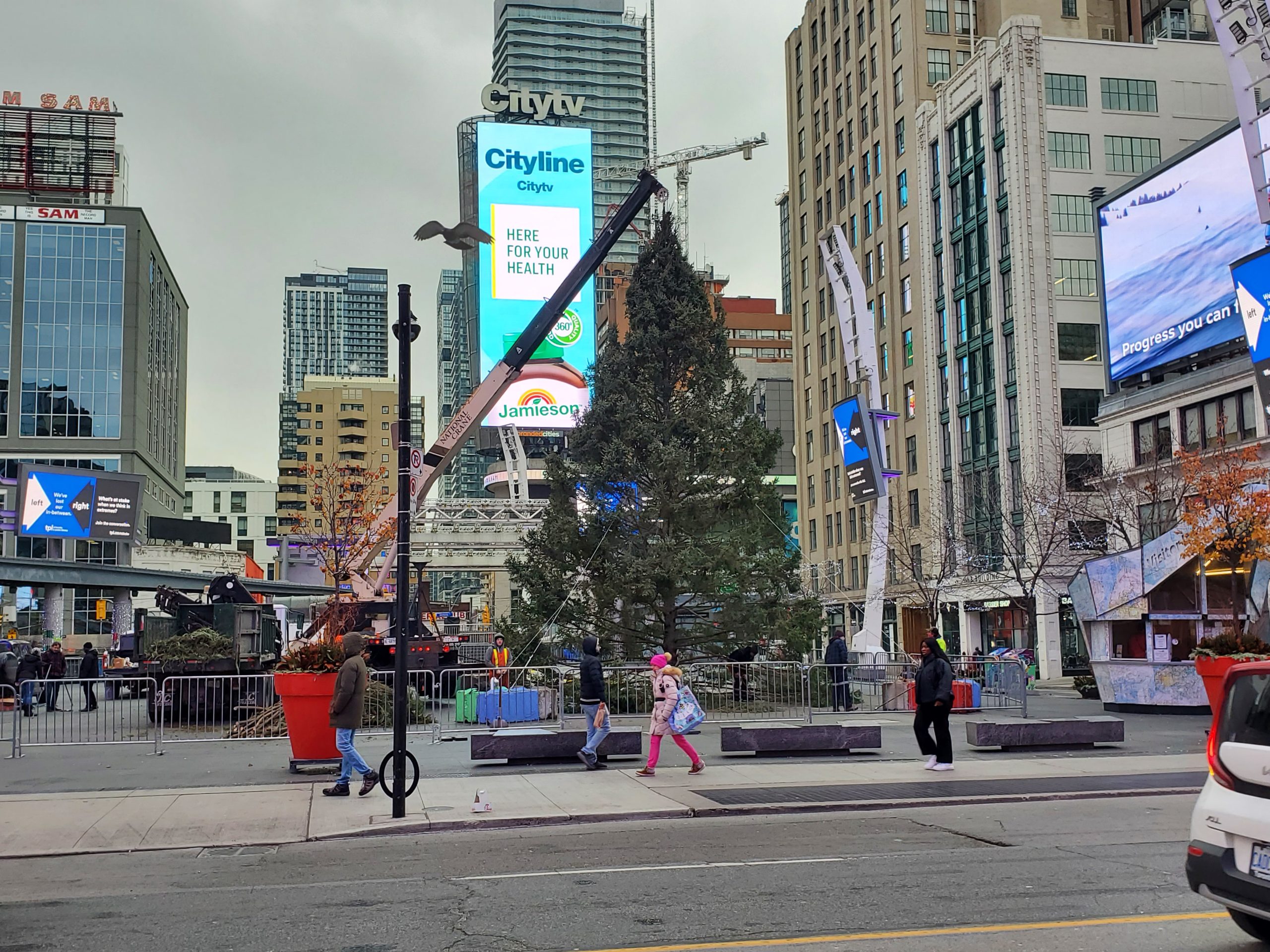 40 foot 'Tree of Remembrance' raised at Younge and Dundas to raise ...